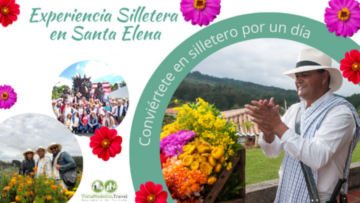 Listado - Ticket Express