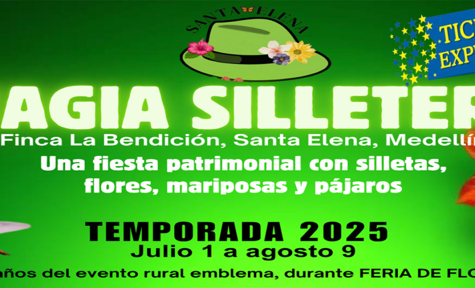 Resultados - Ticket Express